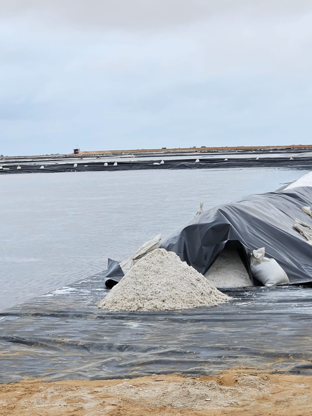 BDA - O Banco de Desenvolvimento de Angola » Equipa do BDA visita ...
